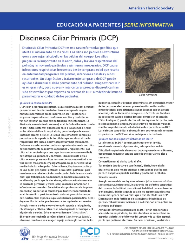 Discinecia Ciliar Primaria | PDF | Diagnostico medico | Ct Scan