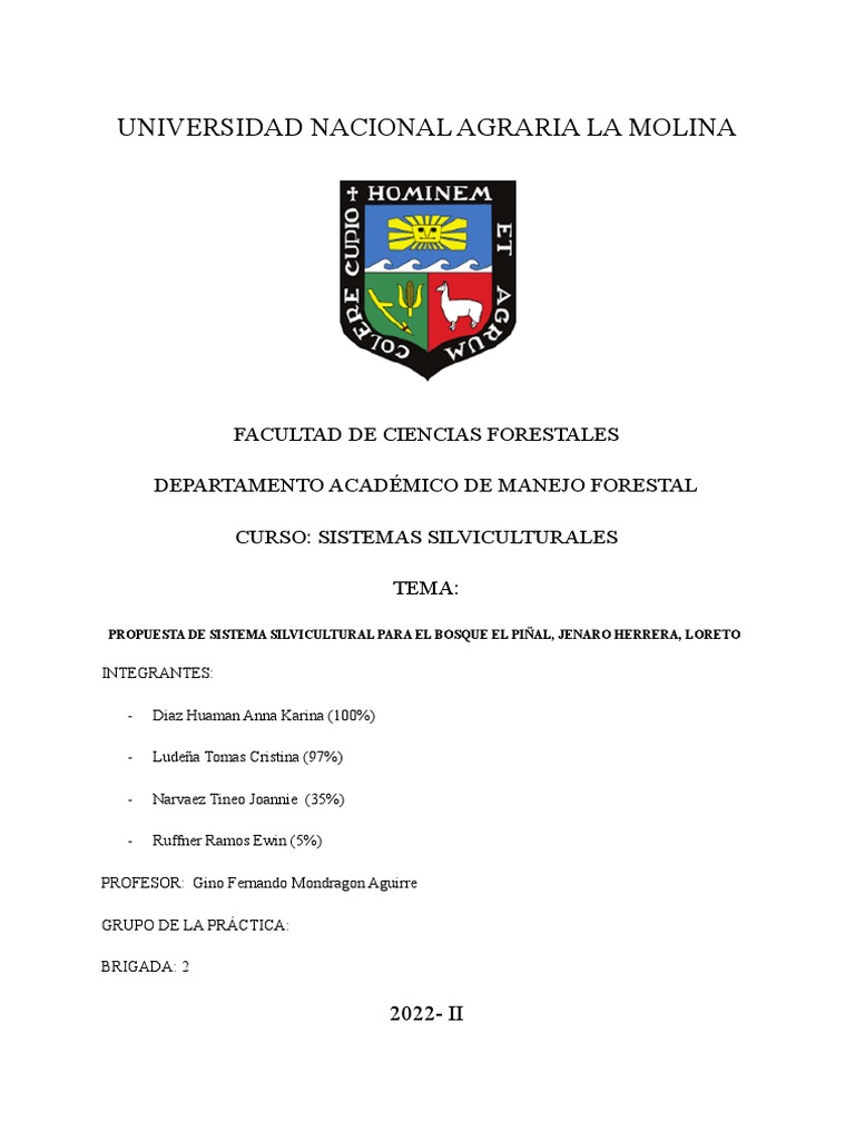Informe Corregido | PDF | Madera | Los bosques