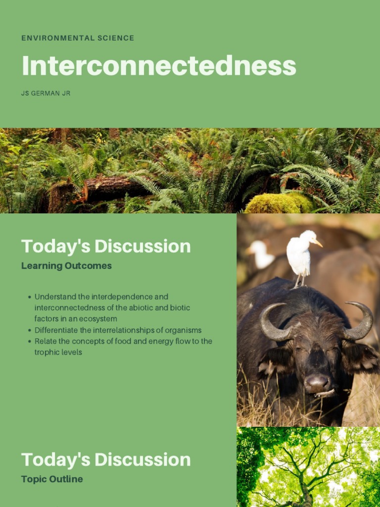 ECOSYSTEM INTERCONNECTIONS | PDF | Ecosystem | Food Web