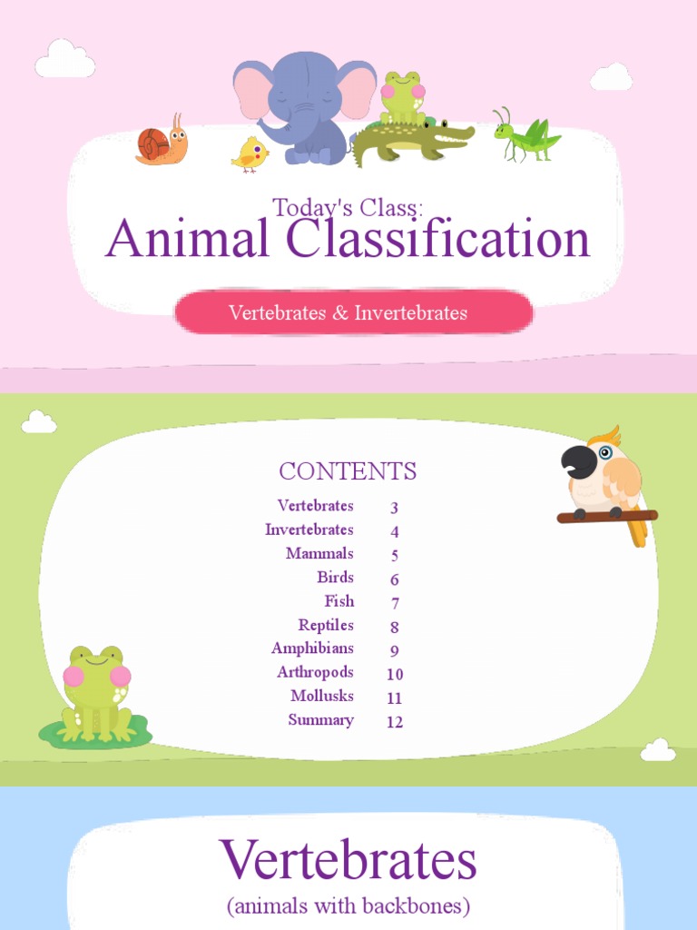 Vertebrates and Non Vert | PDF | Vertebrates | Invertebrate