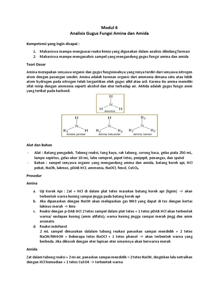 Modul 6 Analisis Gugus Fungsi Amina Dan Amida | PDF