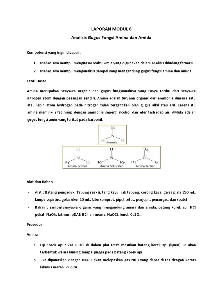 Analisis Gugus Amina & Amida | PDF