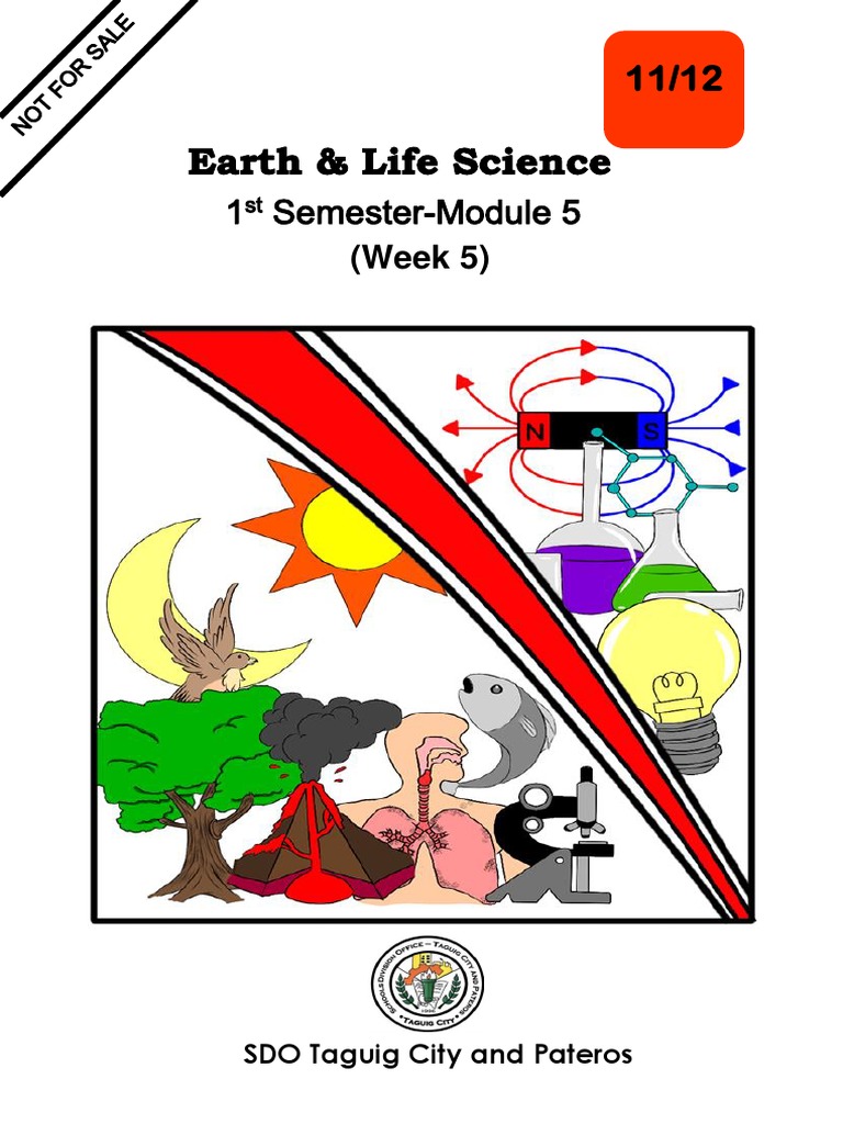 Comic Strip on Plate Movements | PDF | Plate Tectonics | Fault (Geology)