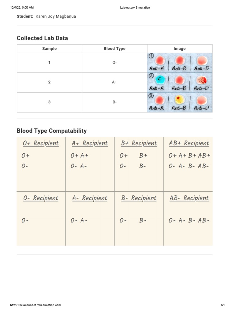 Activity 21 - Blood Typing | PDF | Science & Mathematics