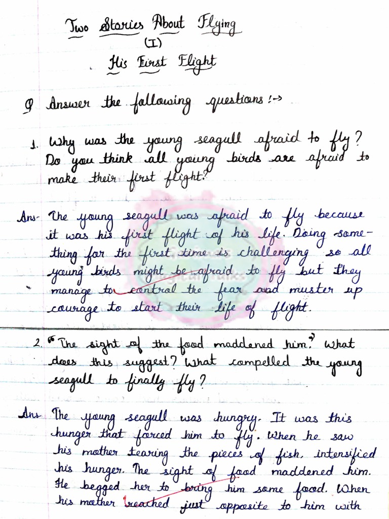 Two Stories About Flying | PDF