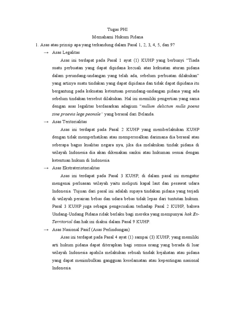 Tugas PHI Memahami Hukum Pidana | PDF