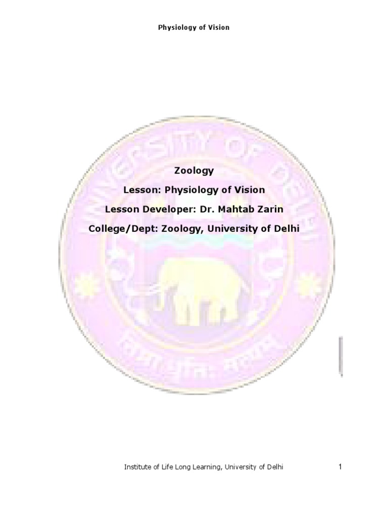 Vision Physiology | PDF | Visual Perception | Eye