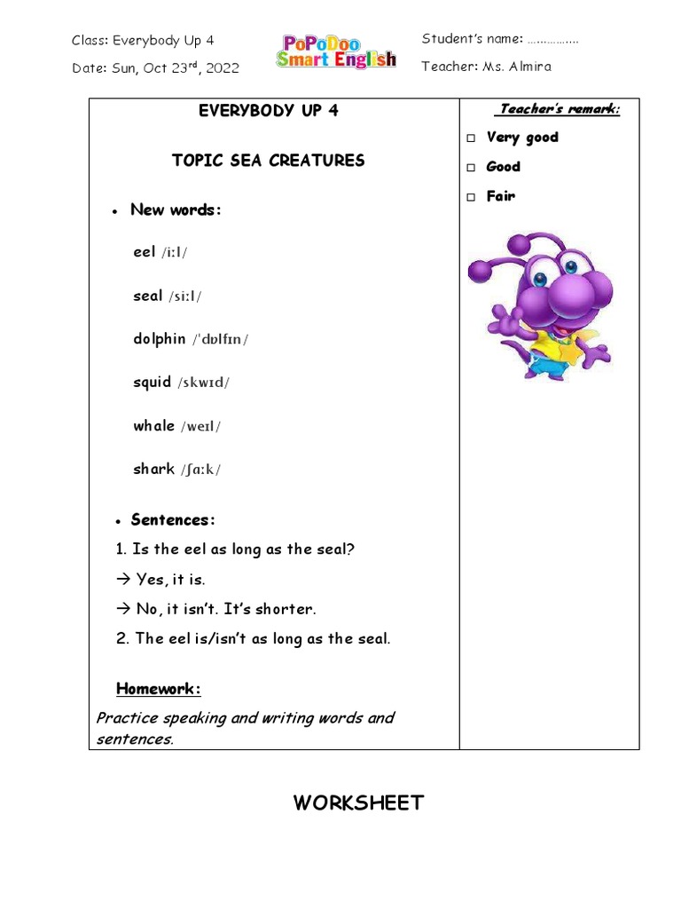 U2 L2 Sea Creatures | PDF | Marine Mammals