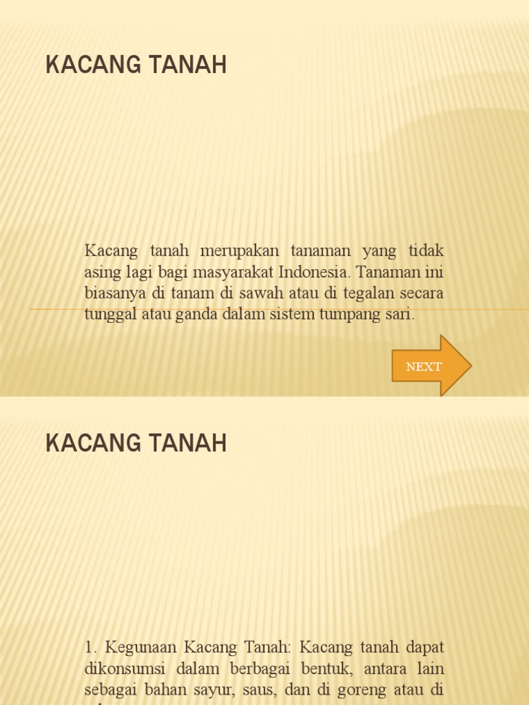 Presentation1 L | PDF