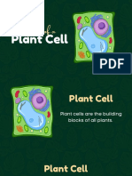 Chloroplast Labelled A Level Diagram | PDF | Chloroplast | Cell (Biology)