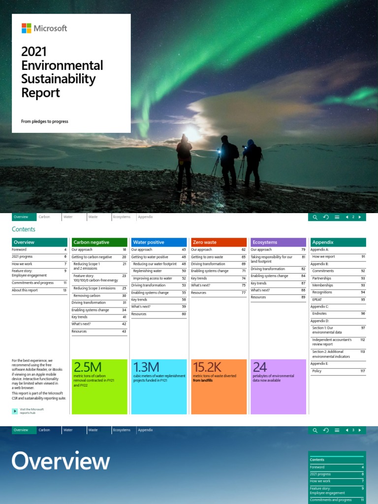 2021 Environmental Sustainability - Report | PDF | Low Carbon Economy ...