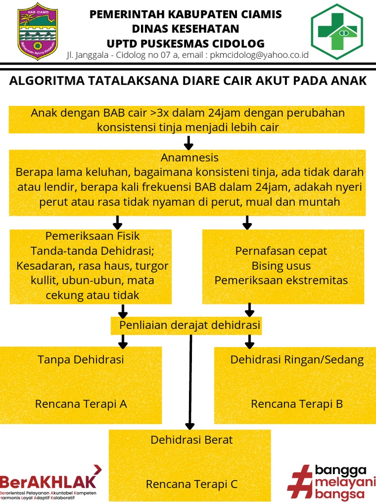 Algoritma Tatalaksana Diare Cair Aku Pada Anak | PDF