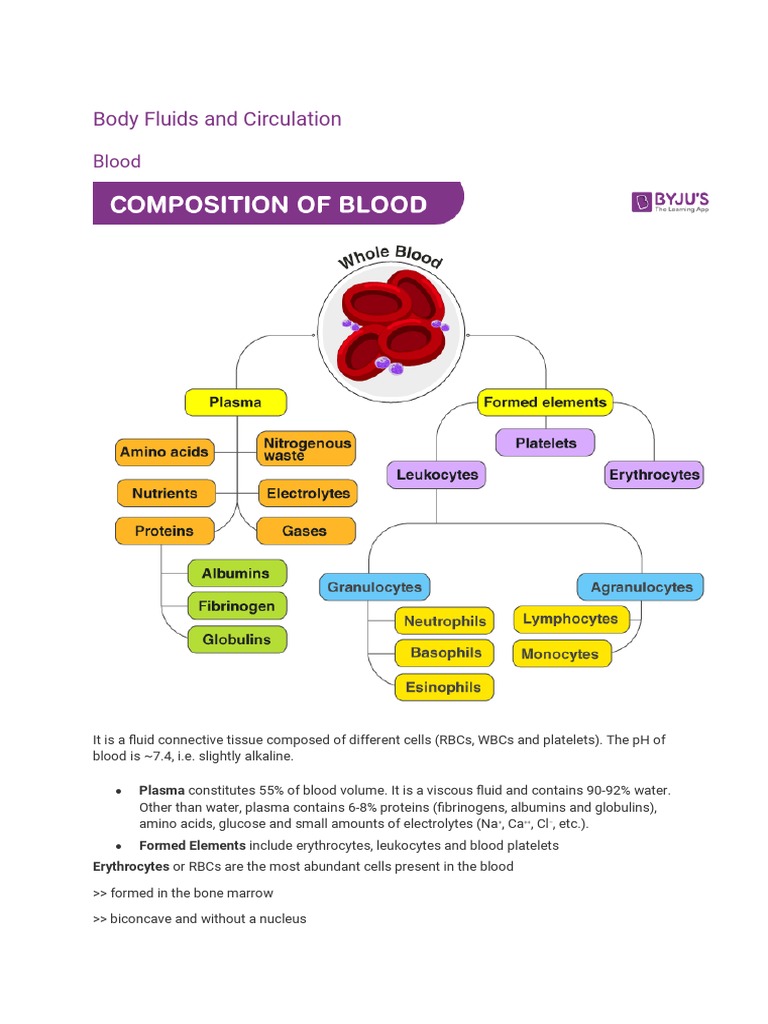 Body Fluids and Circulatory System Overview | PDF | Heart | Ventricle ...