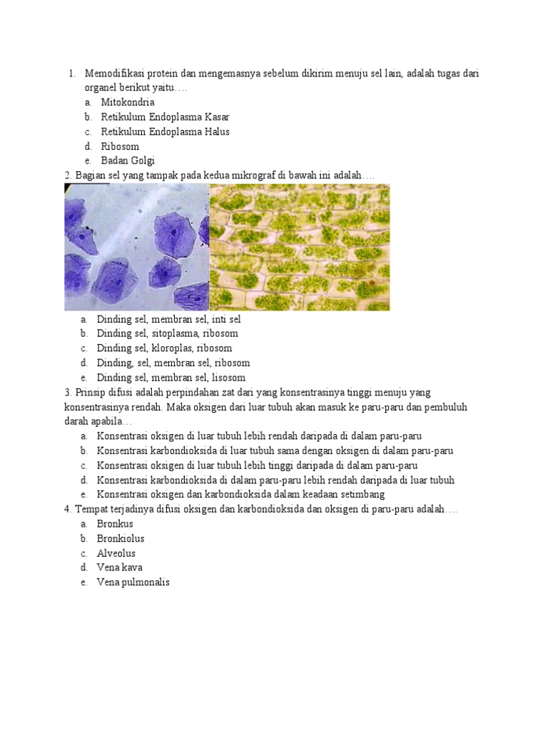 Soal SSC Biologi Kelas 11 | PDF