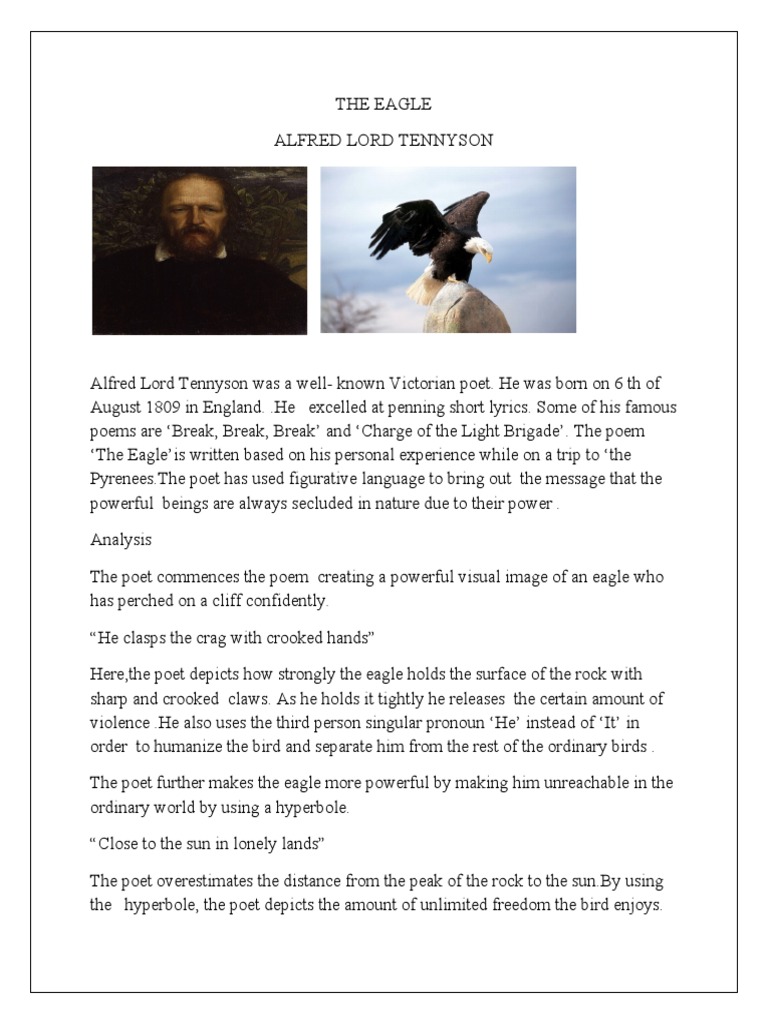 The Eagle | PDF | Eagle