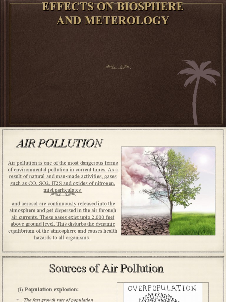 Air Pollution: Impact on Biosphere | PDF | Atmosphere Of Earth | Wound