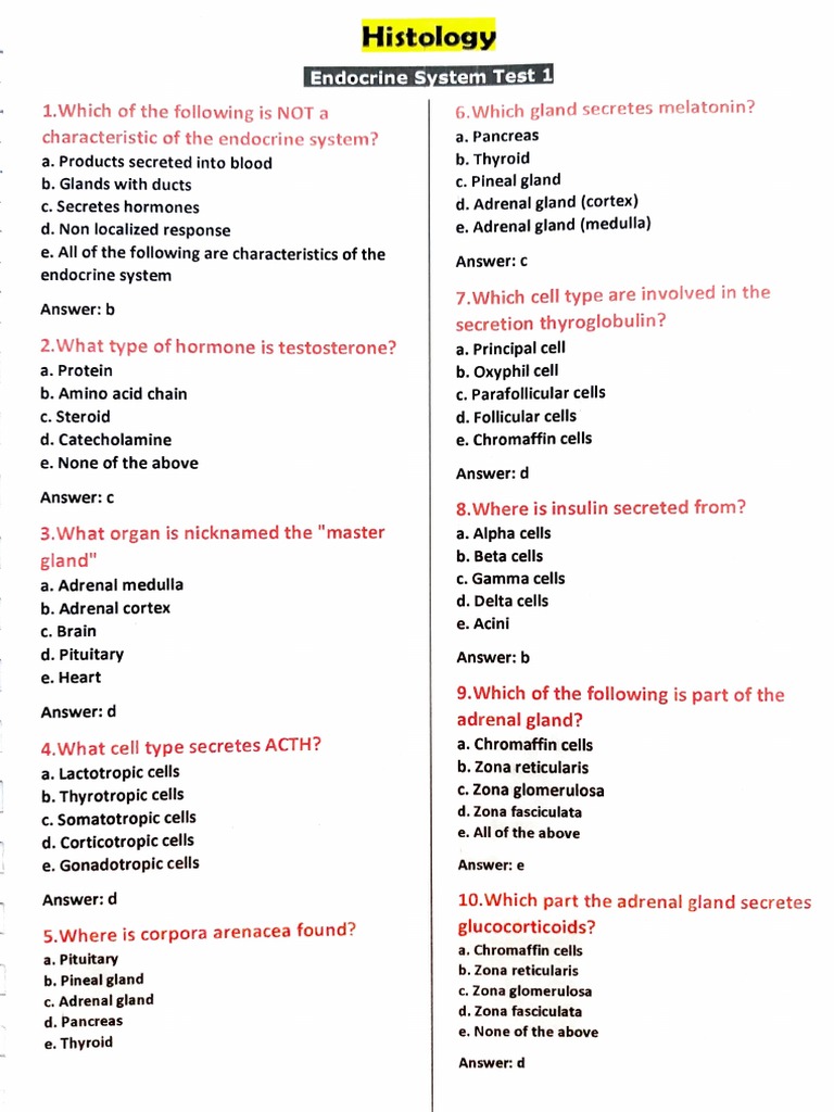 Endocrine Histo MCQ | PDF | Adrenal Gland | Endocrine System