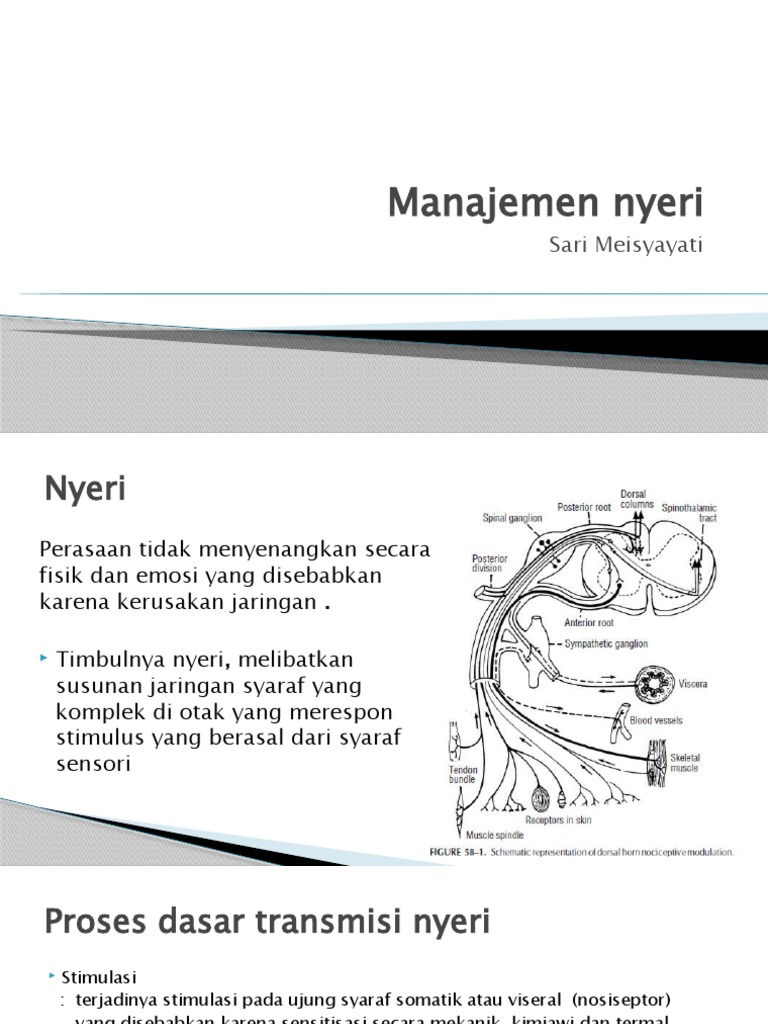 Manajemen Nyeri: Prinsip dan Terapi | PDF