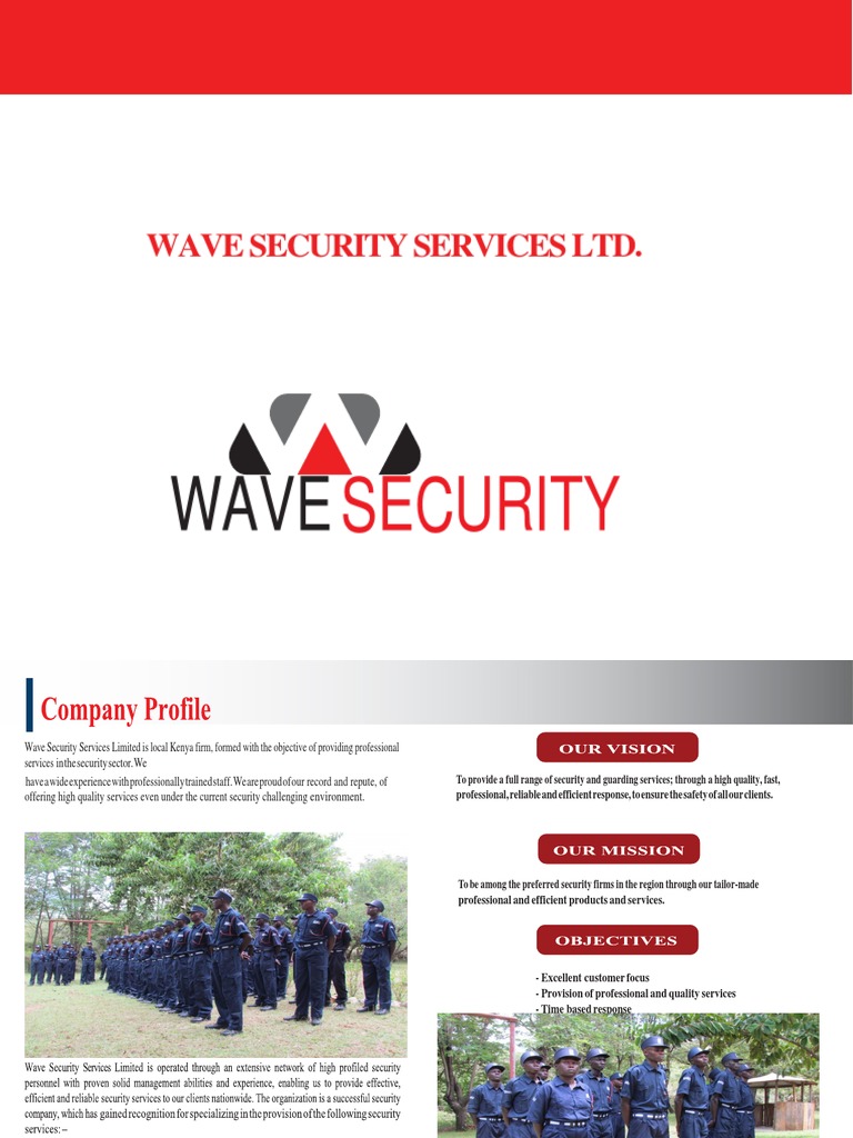 Wave Security Profile - Newcom | PDF | Securities | Consultant