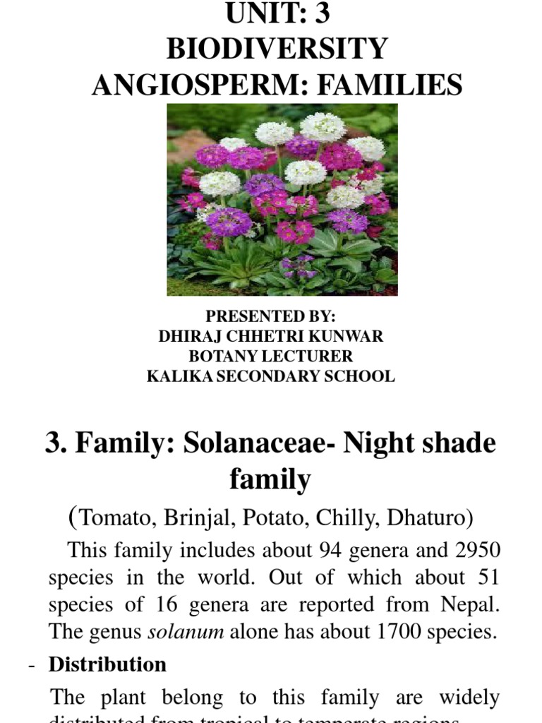 Solanaceae Family Overview and Importance | PDF | Horticultural ...