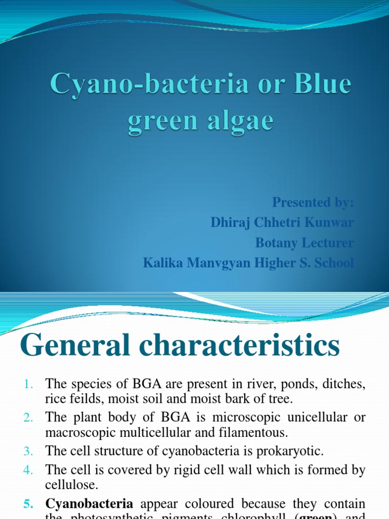 Cyano-Bacteria ClassXI | PDF | Photosynthesis | Cyanobacteria