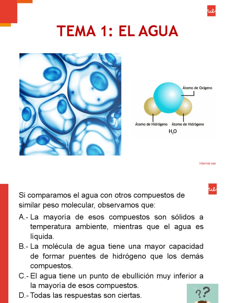 T1a - El Agua Propiedades - Con Preguntas - Nuevo | PDF | Propiedades ...