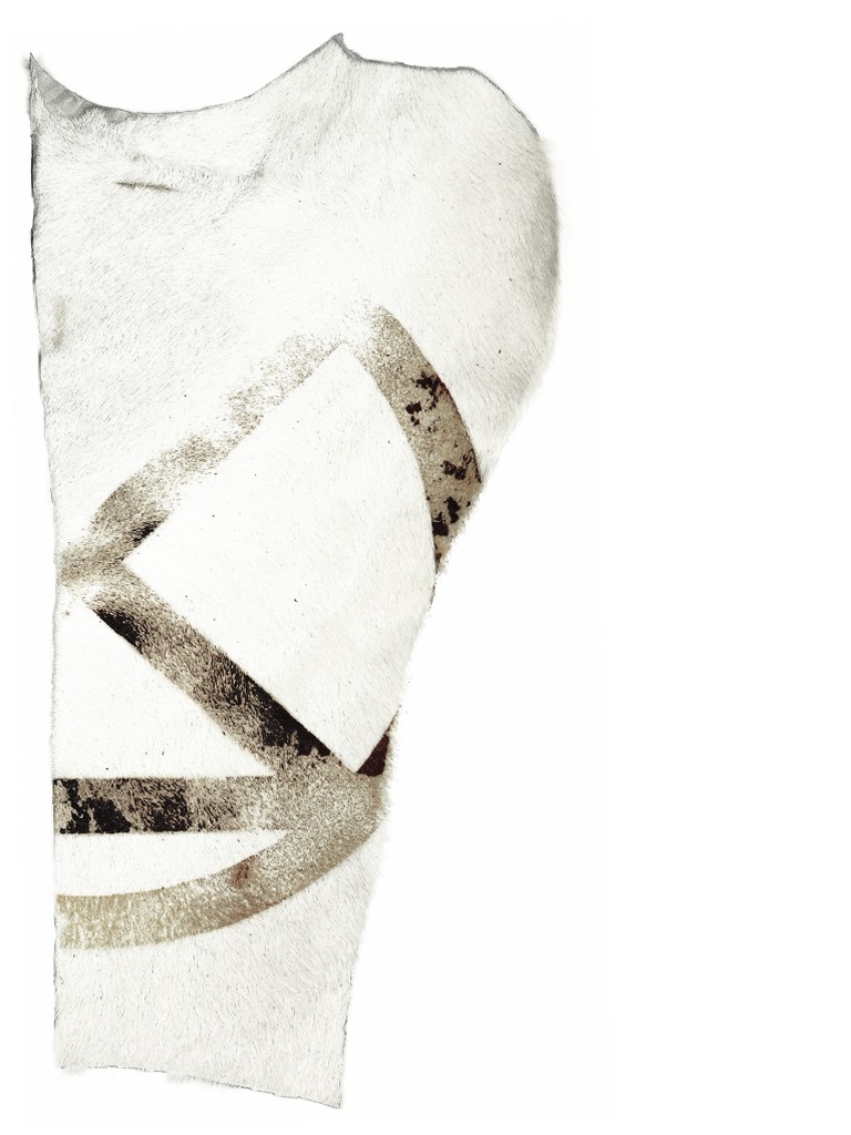 Anthropocene Extinction Insights | PDF | Extinction | Nature