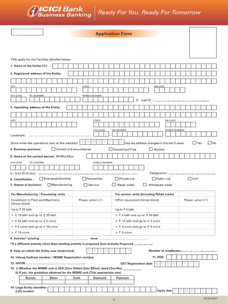 Icici Bank BLG Aplication Form | PDF