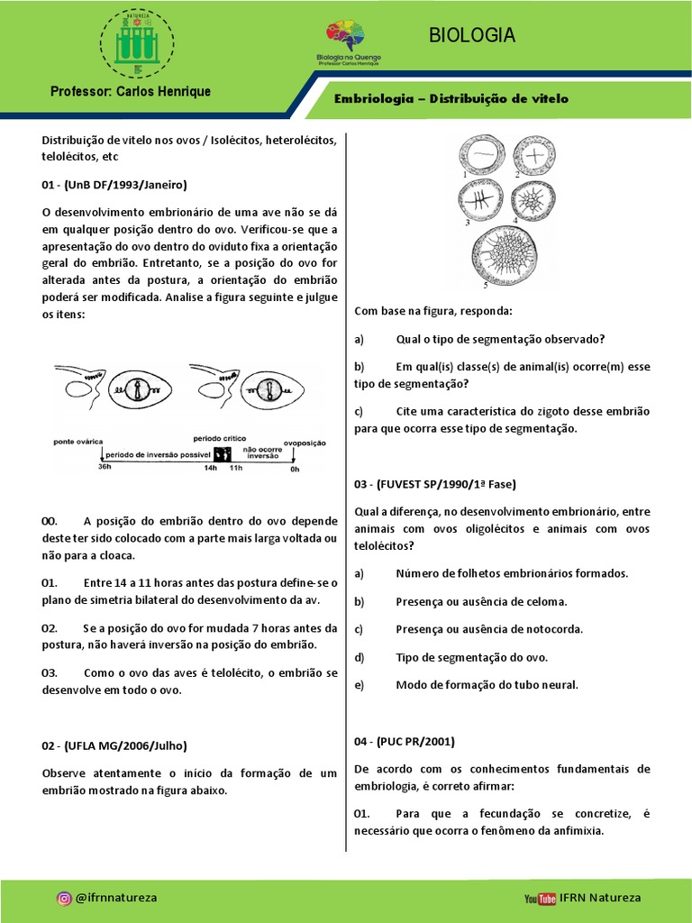 Distribuição de Vitelo nos Ovos | PDF | Ovo | Gema