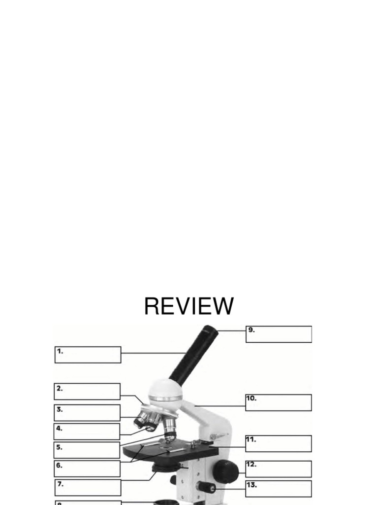 Characteristics of Living Things | PDF | Organisms | Reproduction