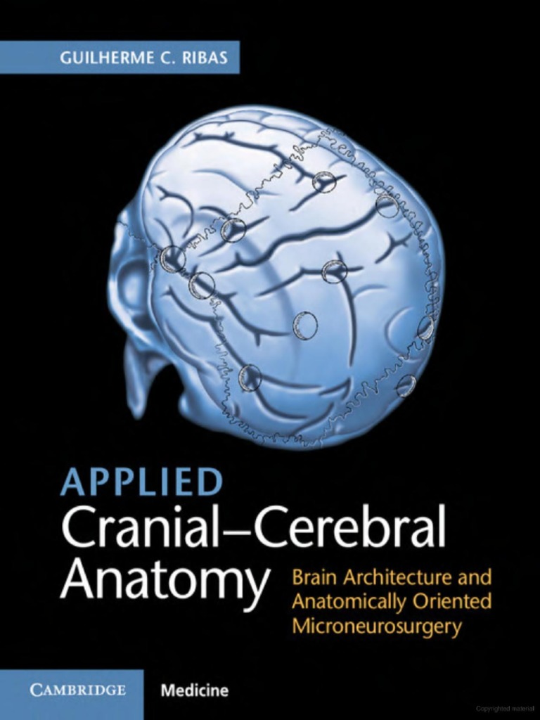 Applied-Cranial-Cerebral-Anatomy-Brain-Architecture-and-Anatomically-Oriented-Microneurosurgery ...