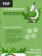 Mitosis in Human Skin Cells Study | PDF | Mitosis | Cell Biology