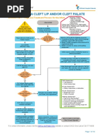 Care Pathway Cleft Lip Palate | PDF | Health Care | Health Sciences