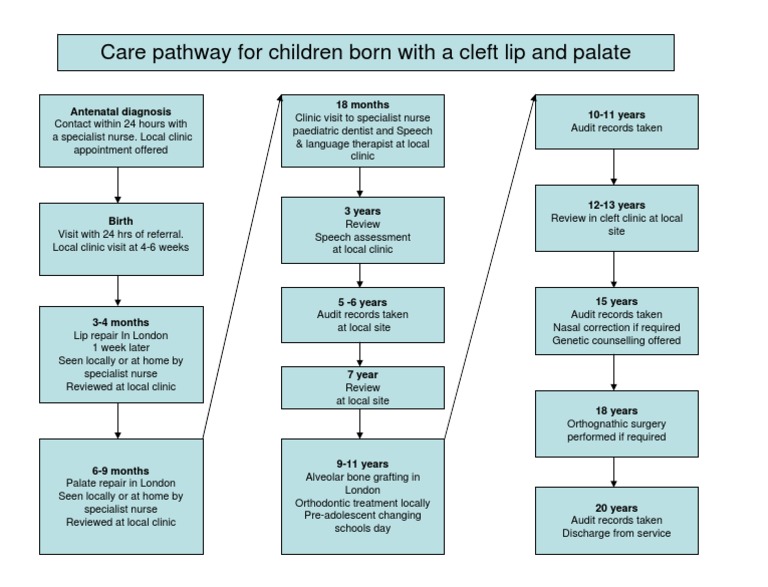 Care Pathway Cleft Lip Palate | PDF | Health Care | Health Sciences