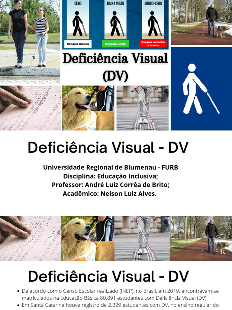Deficiência Visual (Finalizado) | PDF | Educação Especial | Deficiência ...