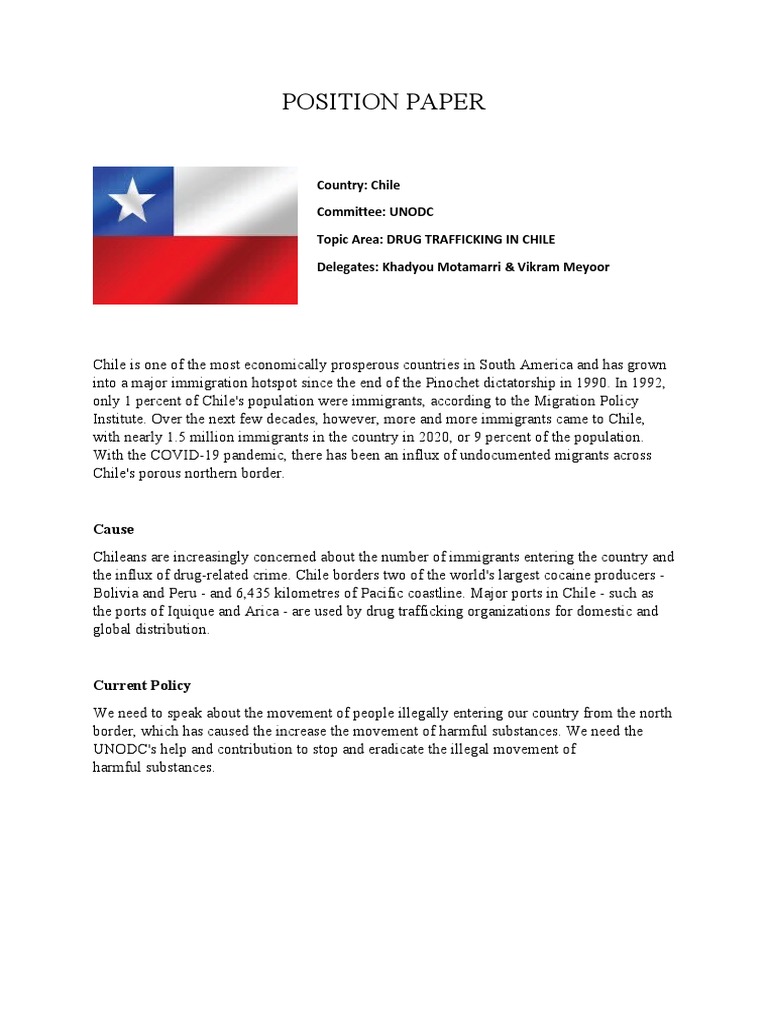 Position Paper | PDF