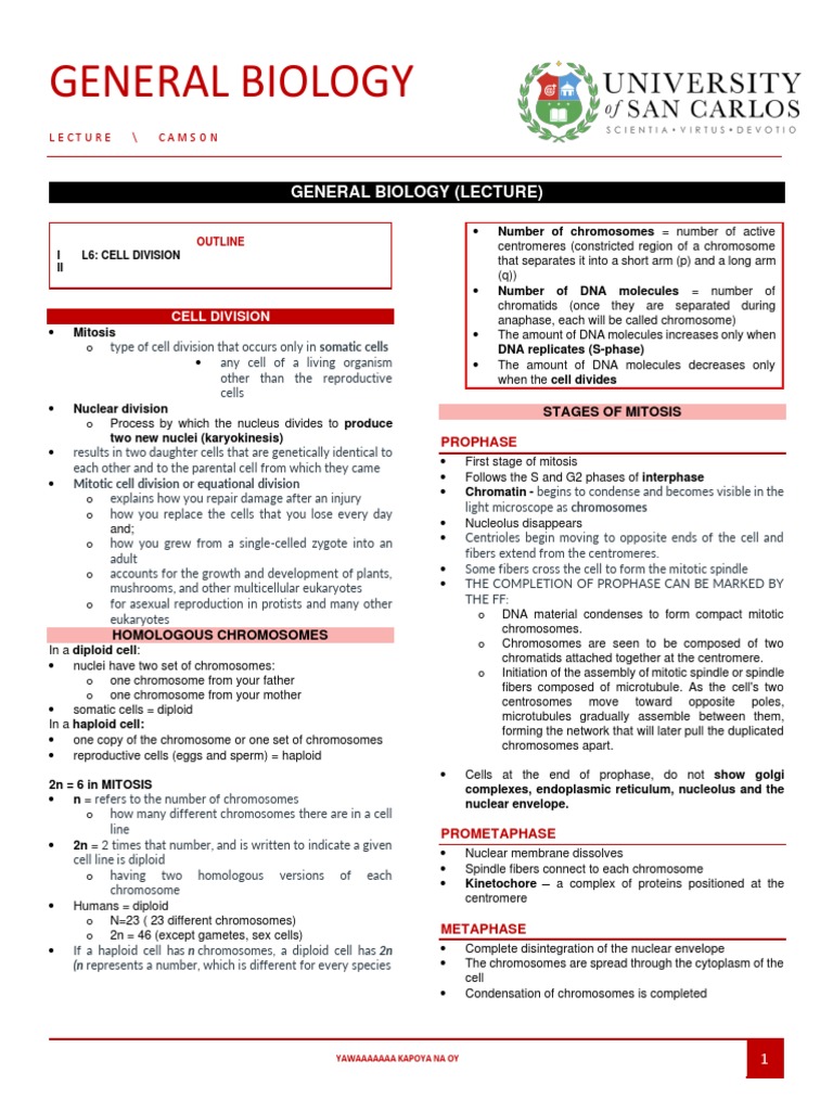 Finals Biolec | PDF | Mitosis | Meiosis