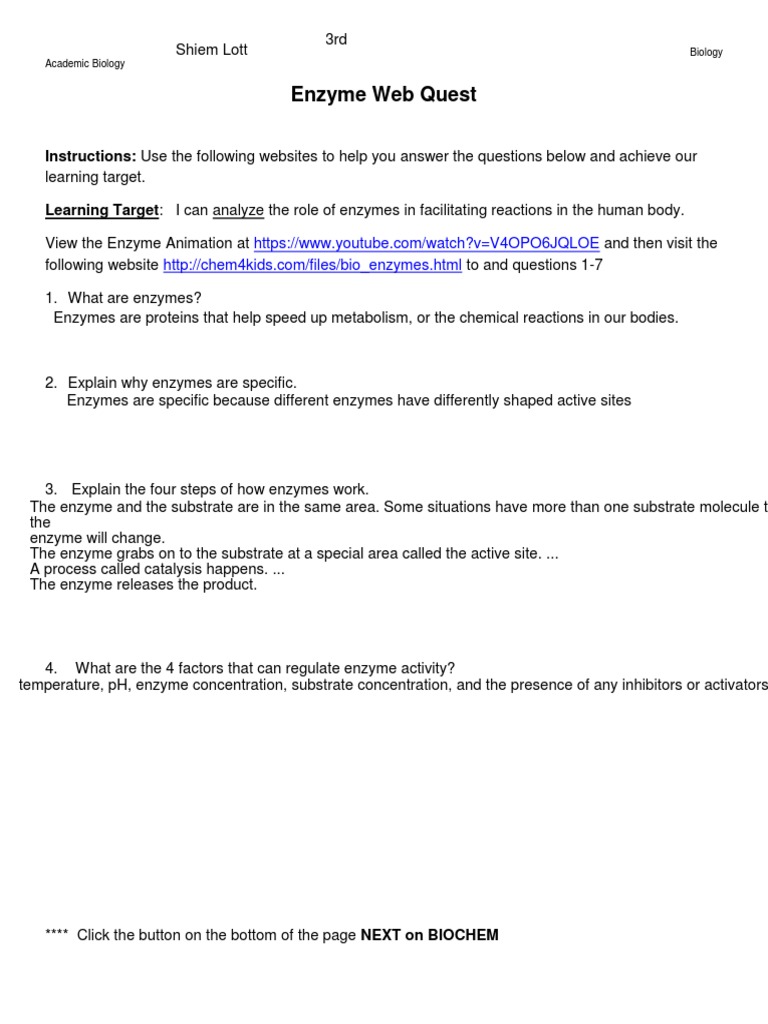 (Student) Shiem Lott - Enzyme - Web - Quest | PDF | Enzyme | Active Site