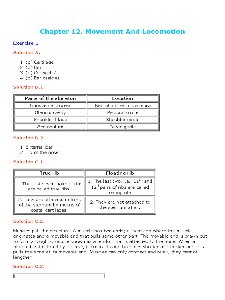 Class 9 Skeleton Movement Overview | PDF | Bone | Skeleton