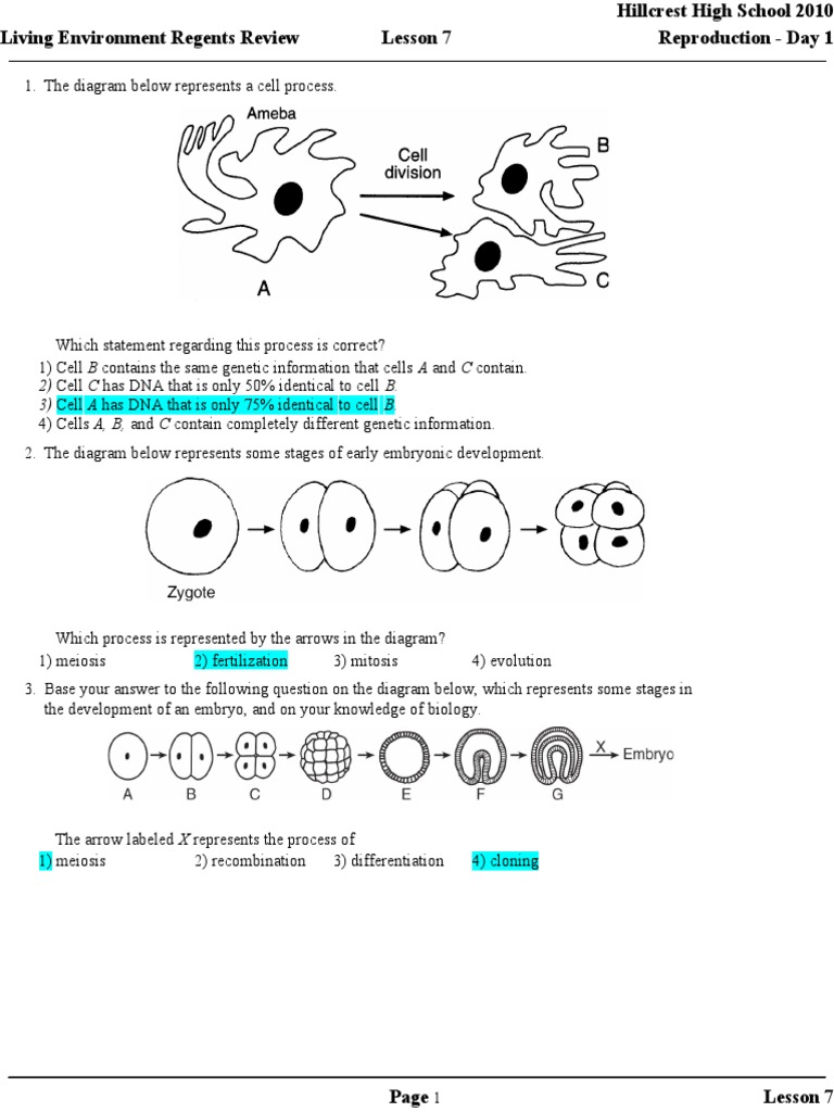 Lesson #7 - Student | PDF | Meiosis | Ploidy