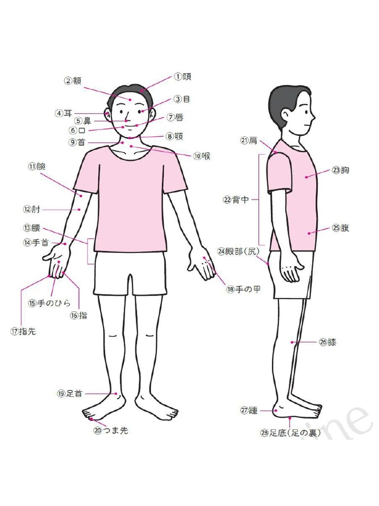 Kaigo Kotoba မြန်မာပြန် | PDF