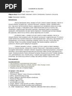 Notatka Zemsta | PDF