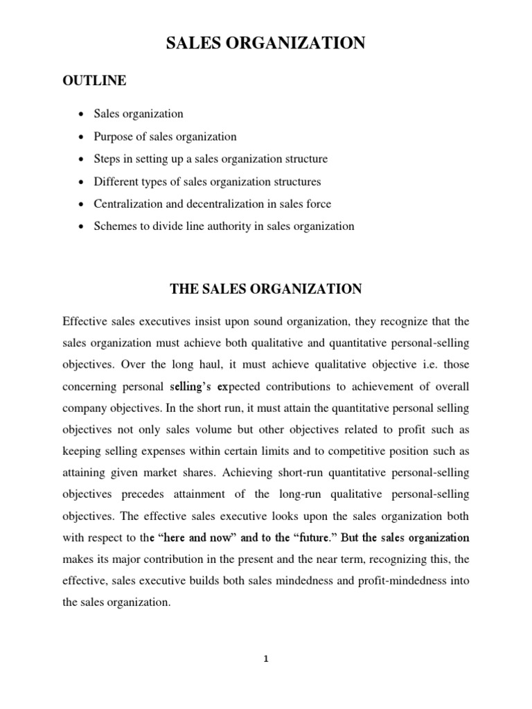 Sales Organization Structure Overview | PDF | Sales | Marketing