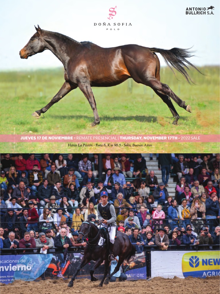 Catalogo Ds 2022 | PDF | Horses