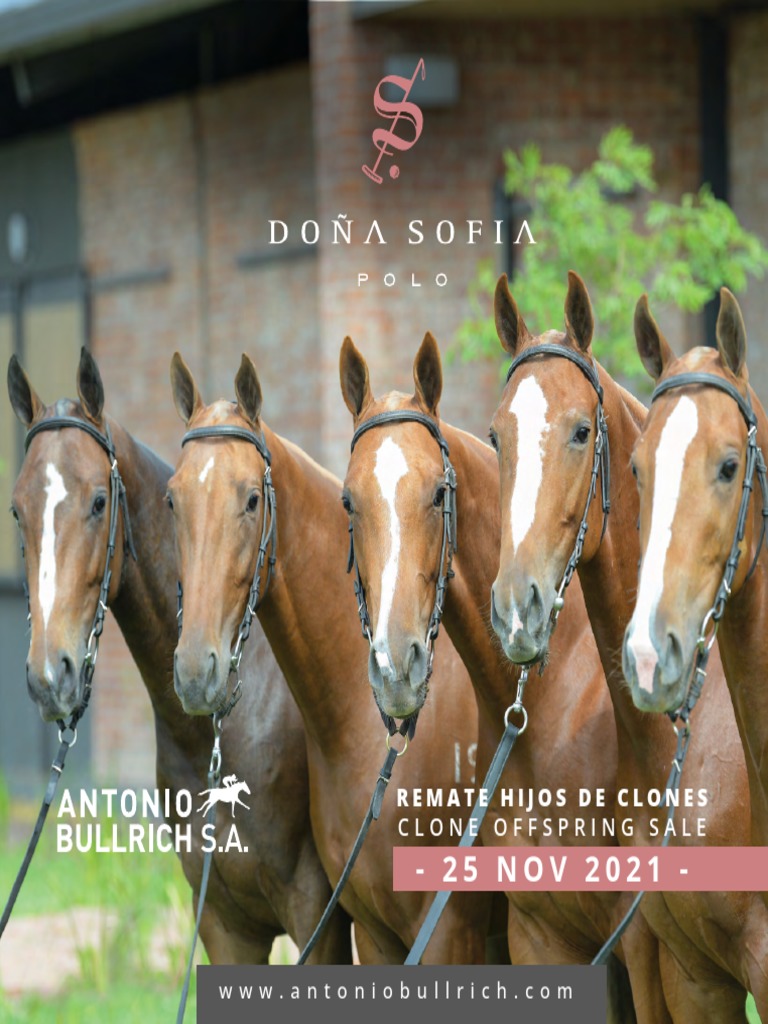 Catalogo Ds 2021 | PDF | Auction