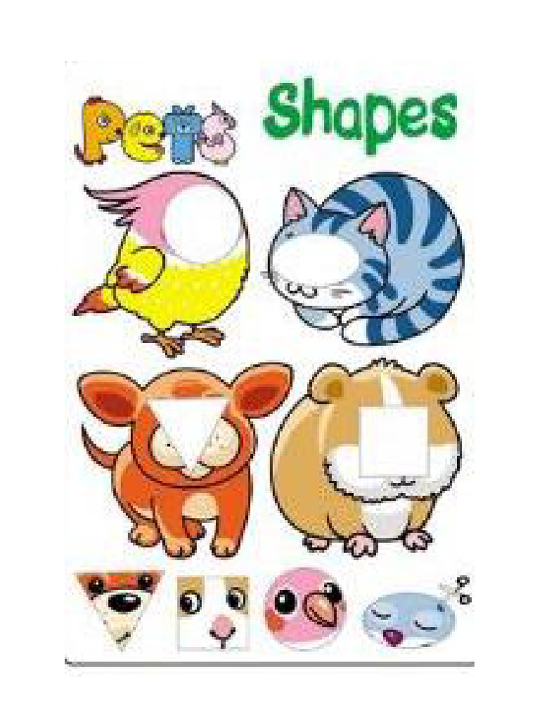 Pet Animals Activity | PDF