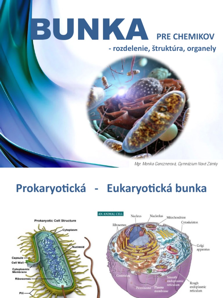 BUNKA Pre Chemikov | PDF