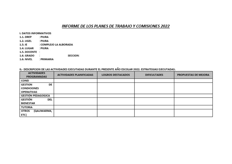 Informe de Comisiones y Comites | PDF