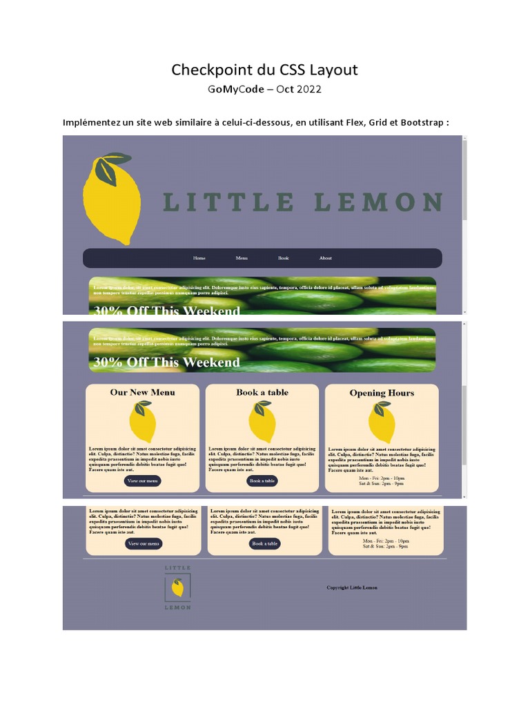 Checkpoint Du Css Layout Pdf