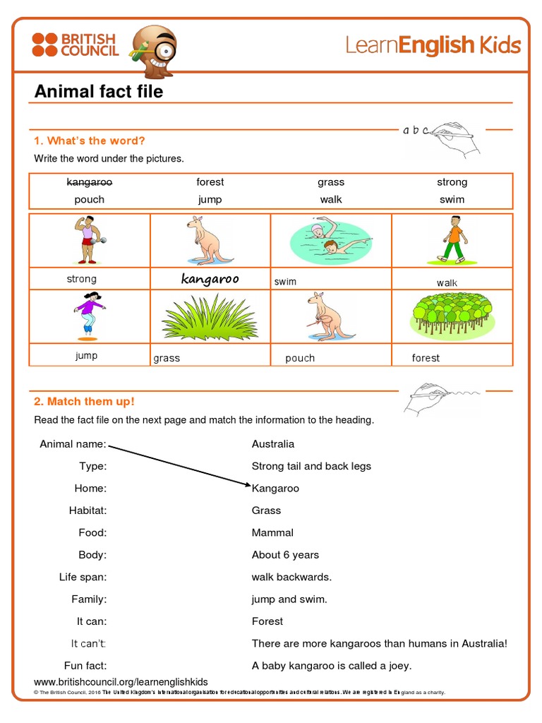 Writing Practice Animal Fact File Worksheet | PDF | Mammals | Organisms
